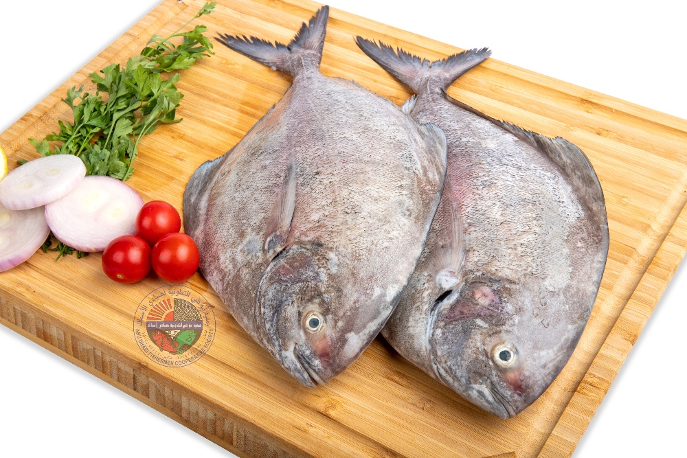 Famous Fish in UAE – FreshSamak