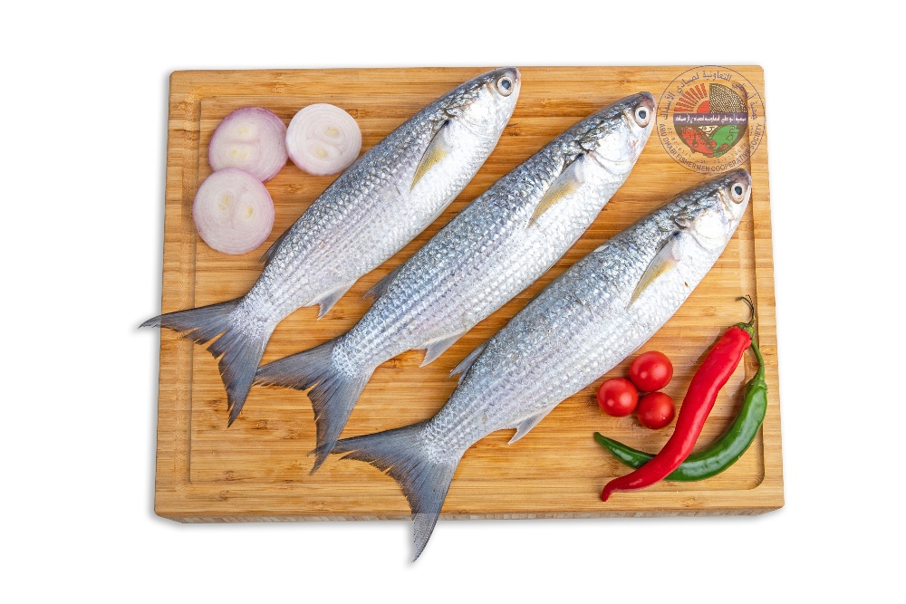 Famous Fish in UAE – FreshSamak