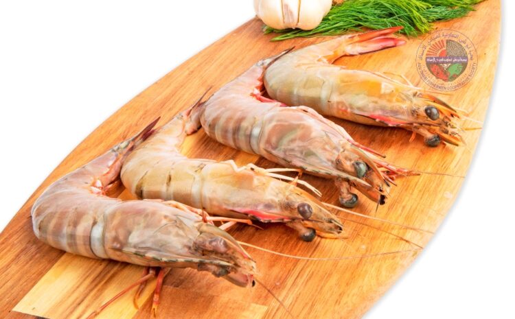 Shrimps U15 (Jumbo)روبيان كبير – Freshsamak