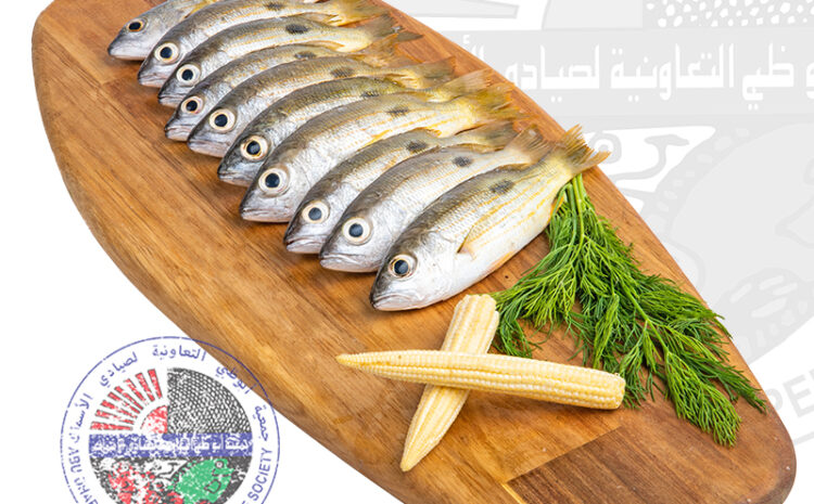 Naiser نيسر – Freshsamak