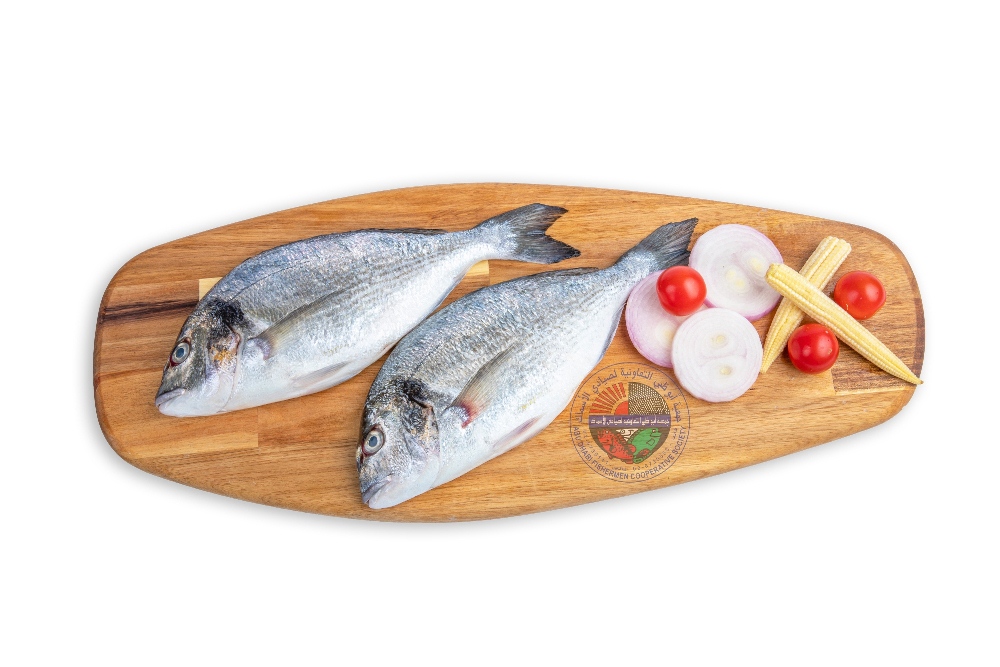 Sea bream سبريم – FreshSamak