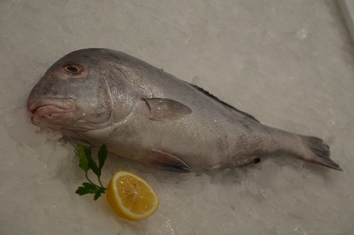 Sweet libs فرش – Freshsamak