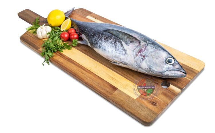 Sudha صداه – Freshsamak