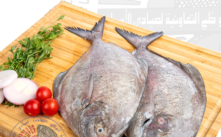 Black pomfret زبيدي أسود – Freshsamak