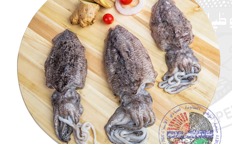 Cattle fish Bigحبار – Freshsamak