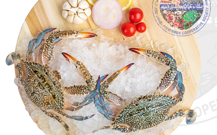 Crab قبقوب – Freshsamak