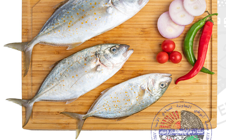 Jesh (M) – جش – Freshsamak