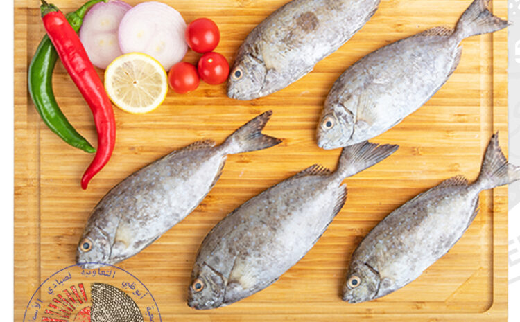 Saffi صافي – Freshsamak