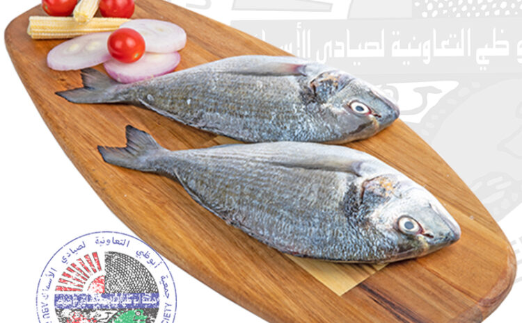 Sea bream سبريم – Freshsamak