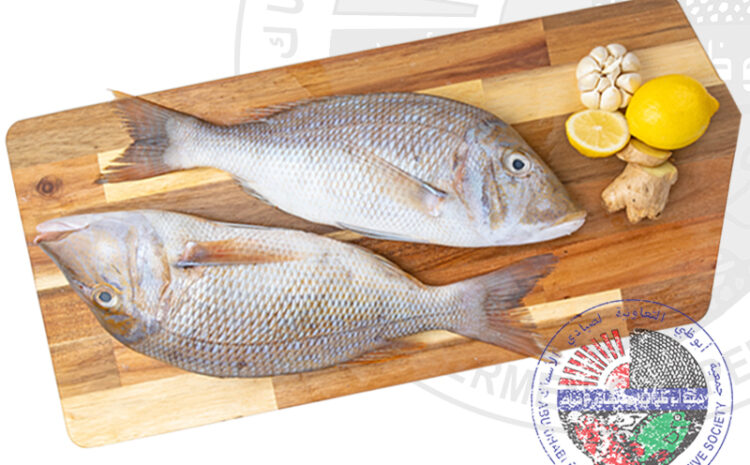 Sheri شعري – Freshsamak