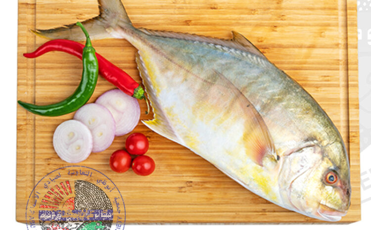 Zuraidy زريدي – Freshsamak