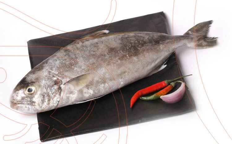 Hamam حمام – Freshsamak