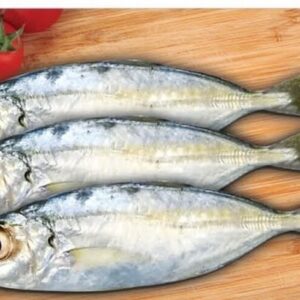 FreshSamak – Fresh Catch Daily