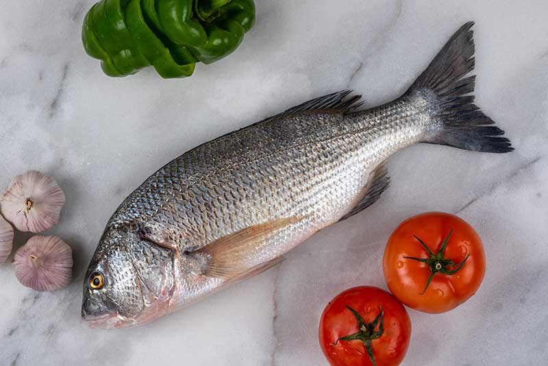 Nylon Fish نايلون – FreshSamak