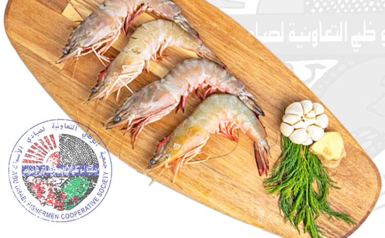 Shrimps 20/30 (M)روبيان – Freshsamak