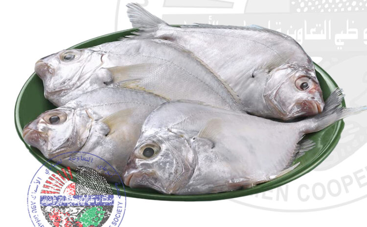 Mullan Fishمولان – Freshsamak